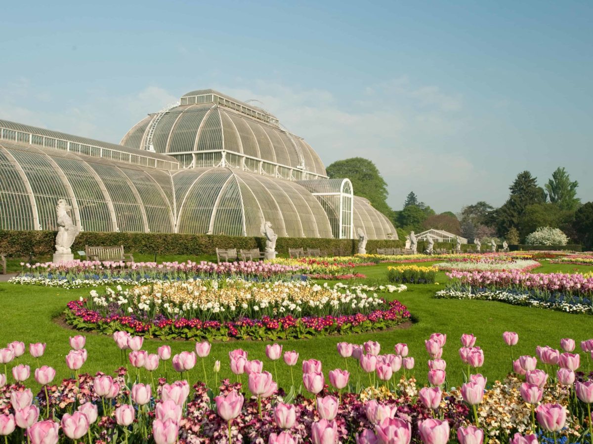Amazing World Beautiful Spring Gardens