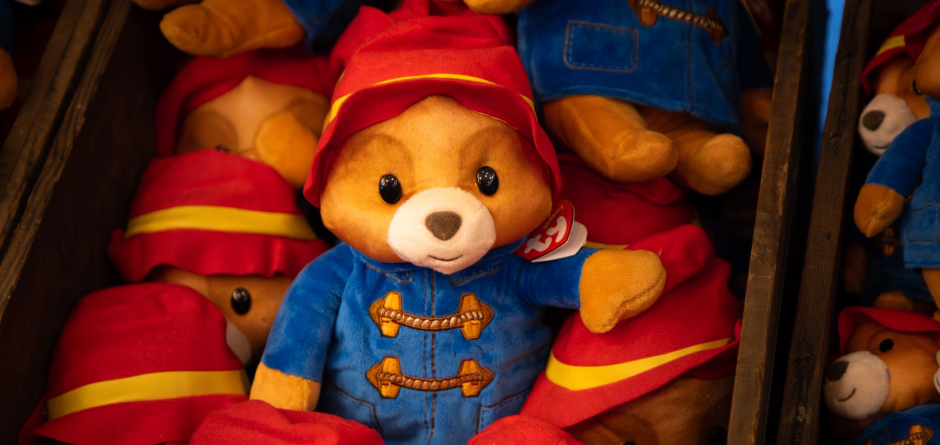 The Paddington Bear™ Experience - Evan Evans Tours